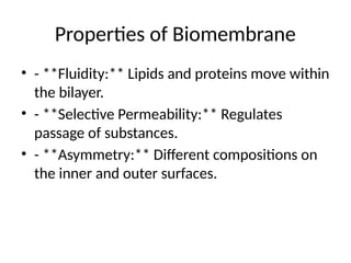 Detailed_Structure_and_Functions_of_Biomembrane.pptx