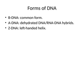 Detailed_Structure_of_DNA_and types MSc.pptx