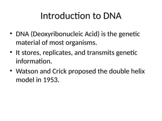 Detailed_Structure_of_DNA_and types MSc.pptx