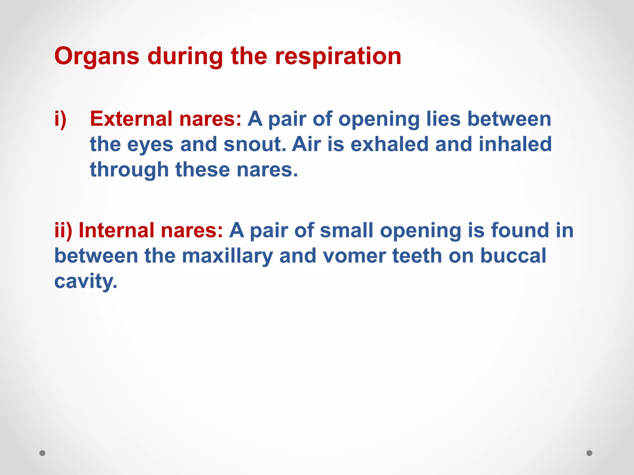 Detailed study of frog (rana tigrina) | PPTX