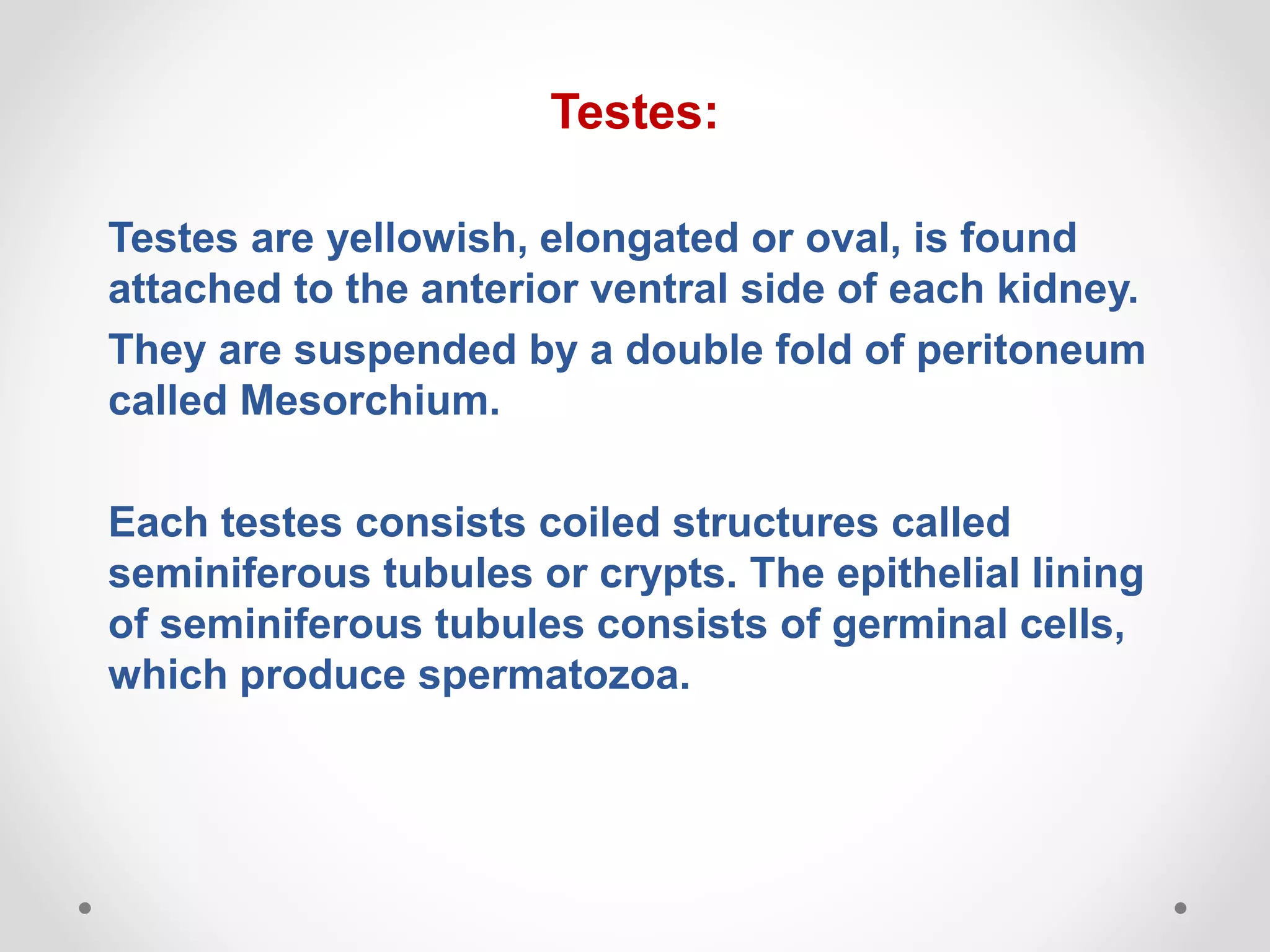 Detailed study of frog (rana tigrina) | PPTX