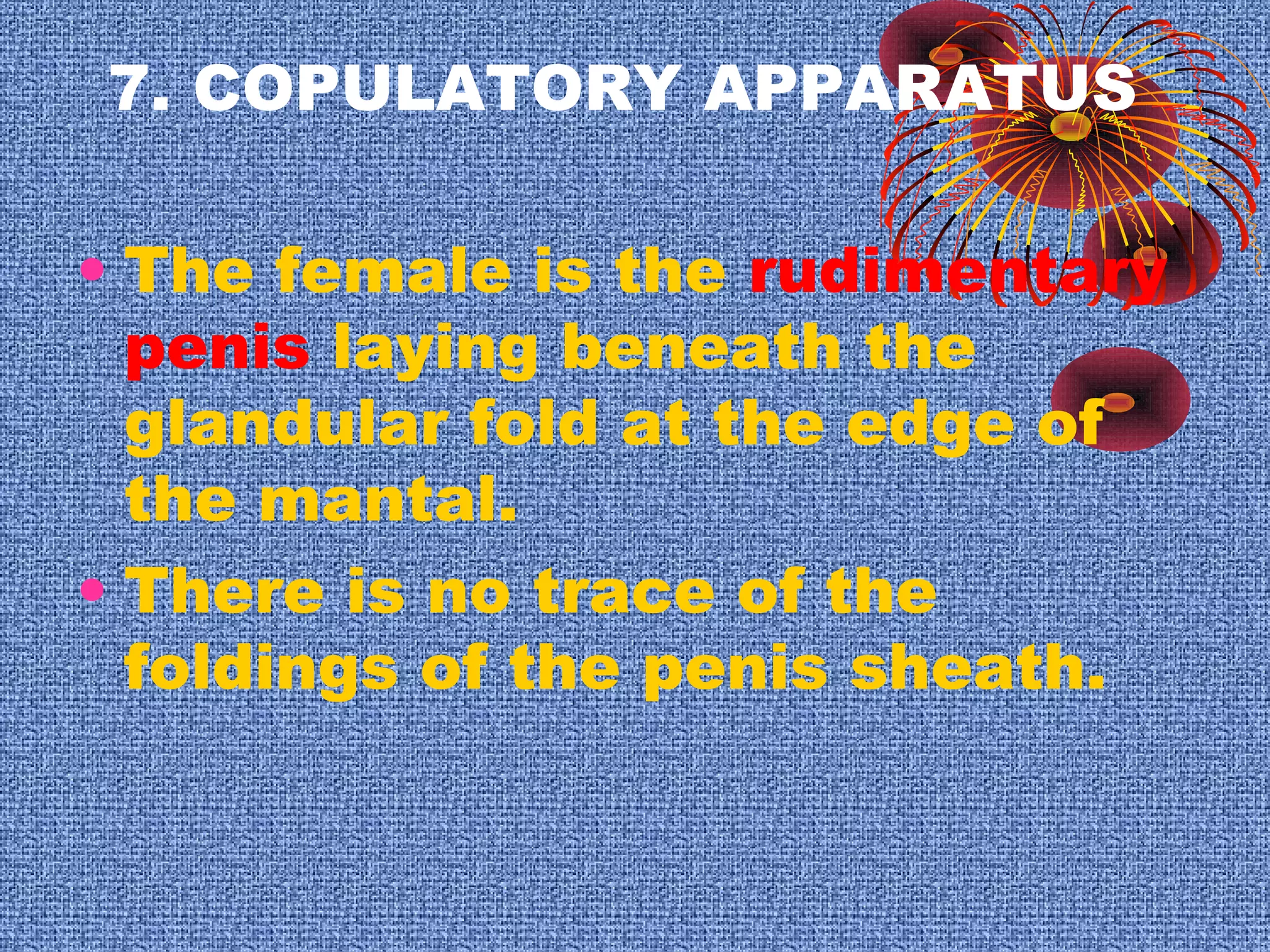Detailed study of pila | PPT