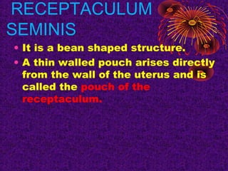 Detailed study of pila | PPT