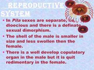 Detailed study of pila | PPT