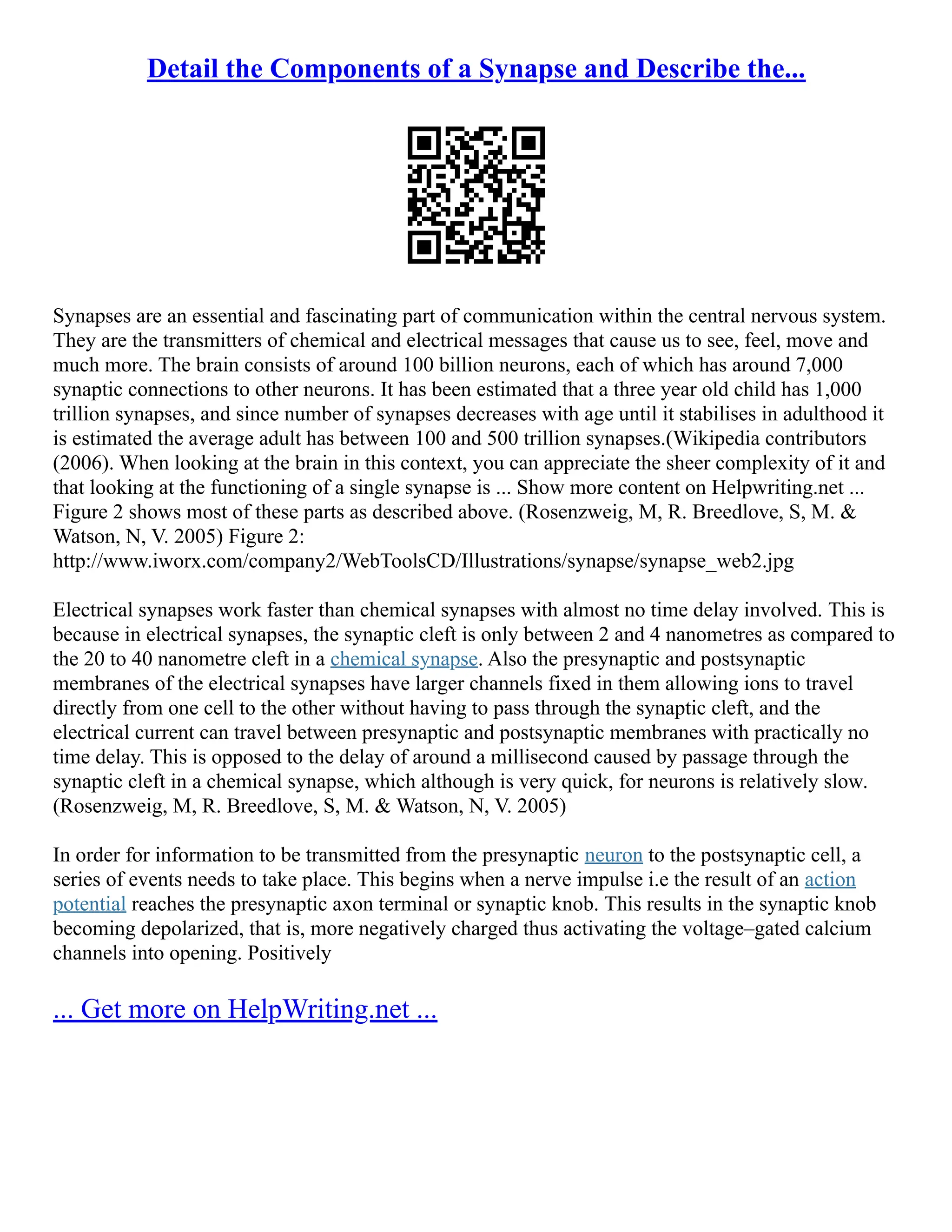 Detail The Components Of A Synapse And Describe The... | PDF