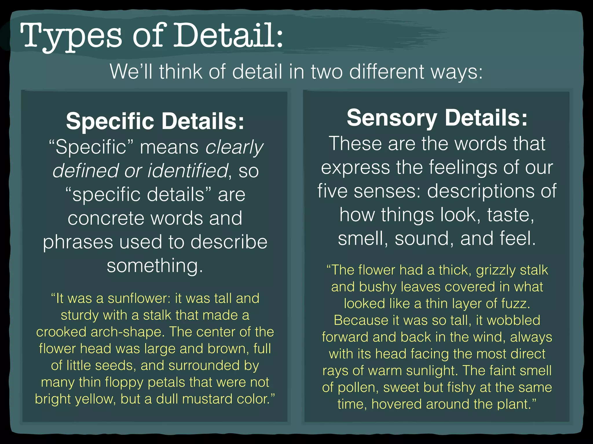 Detail Writing Introduction | PDF