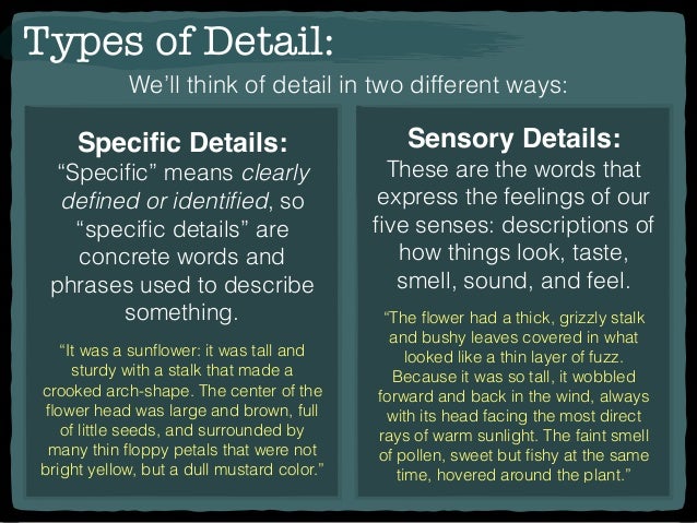 Detail Writing Introduction