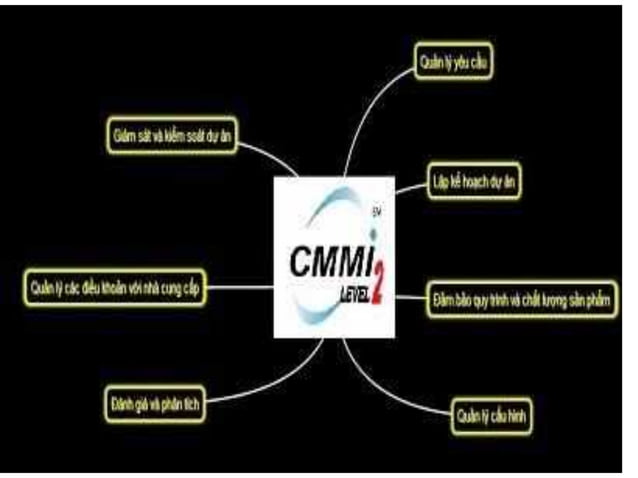 Bài giảng Đảm bảo chất lượng phần mềm - Mô hình CMM/CMMI trong SQA | PDF