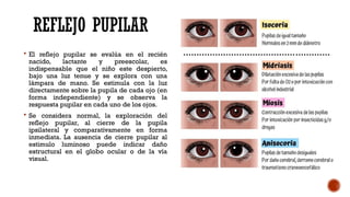 Detección oportuna de ALTERACIONES VISUALES en el preescolar.pptx