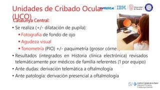 Detección de la retinopatía diabética mediante IA en atención primaria ...
