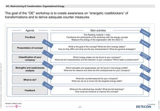 Detecon - Organizational Energy Workshop | PDF