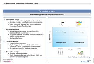 Detecon - Organizational Energy Workshop | PDF