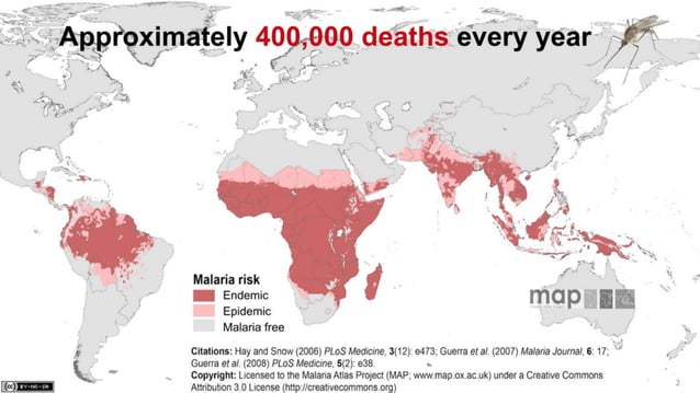 Detecting malaria using a deep convolutional neural network | PPTX | Artificial Intelligence ...