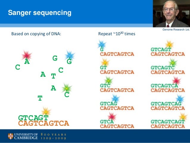 Detecting single molecules and sequencing DNA