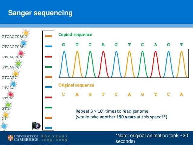 Detecting single molecules and sequencing DNA