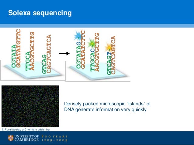 Detecting single molecules and sequencing DNA