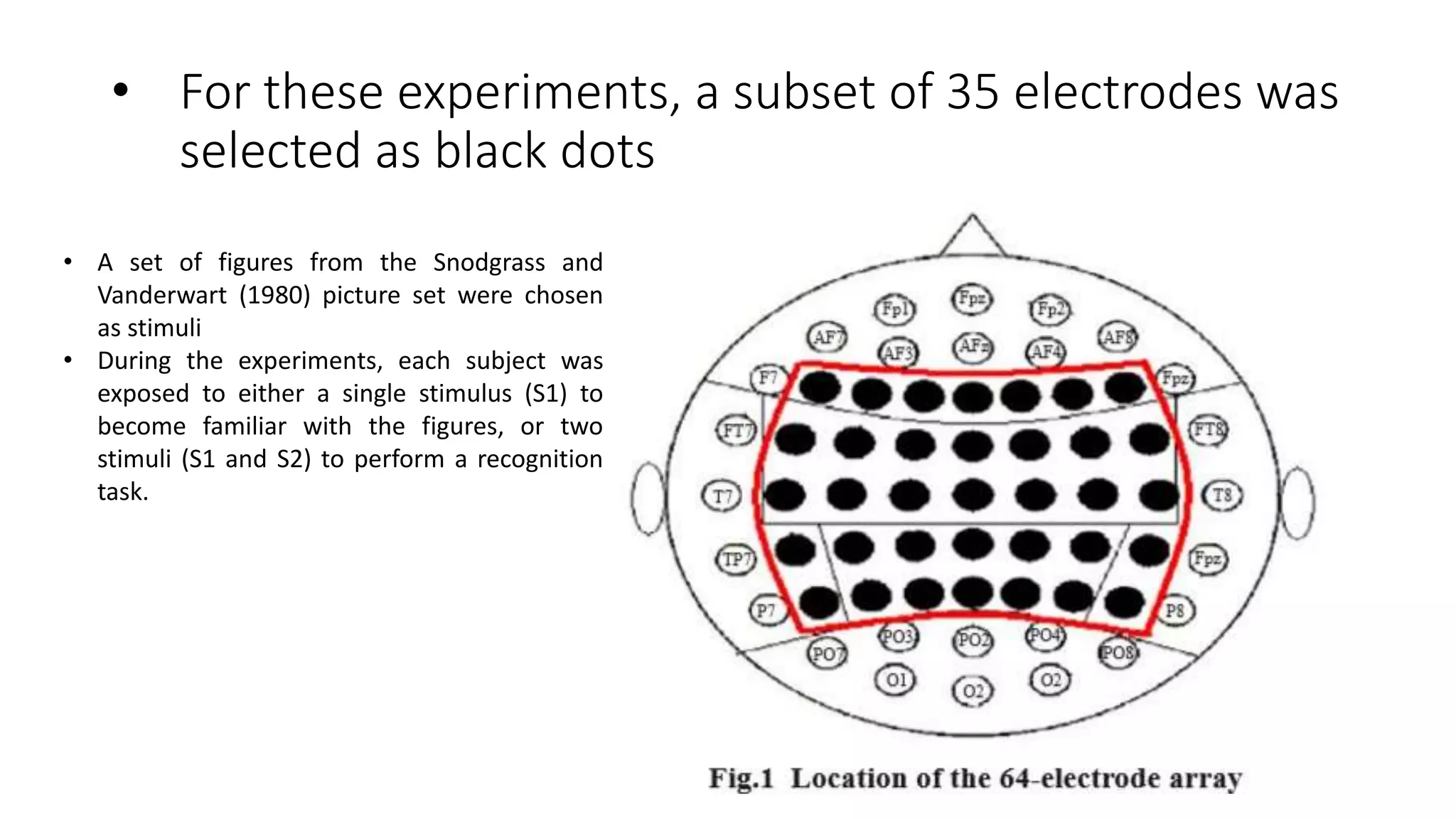 Detecting stable phase structures in eeg signals to classify brain activity amplitude patterns ...