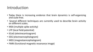 Detecting stable phase structures in eeg signals to classify brain activity amplitude patterns ...