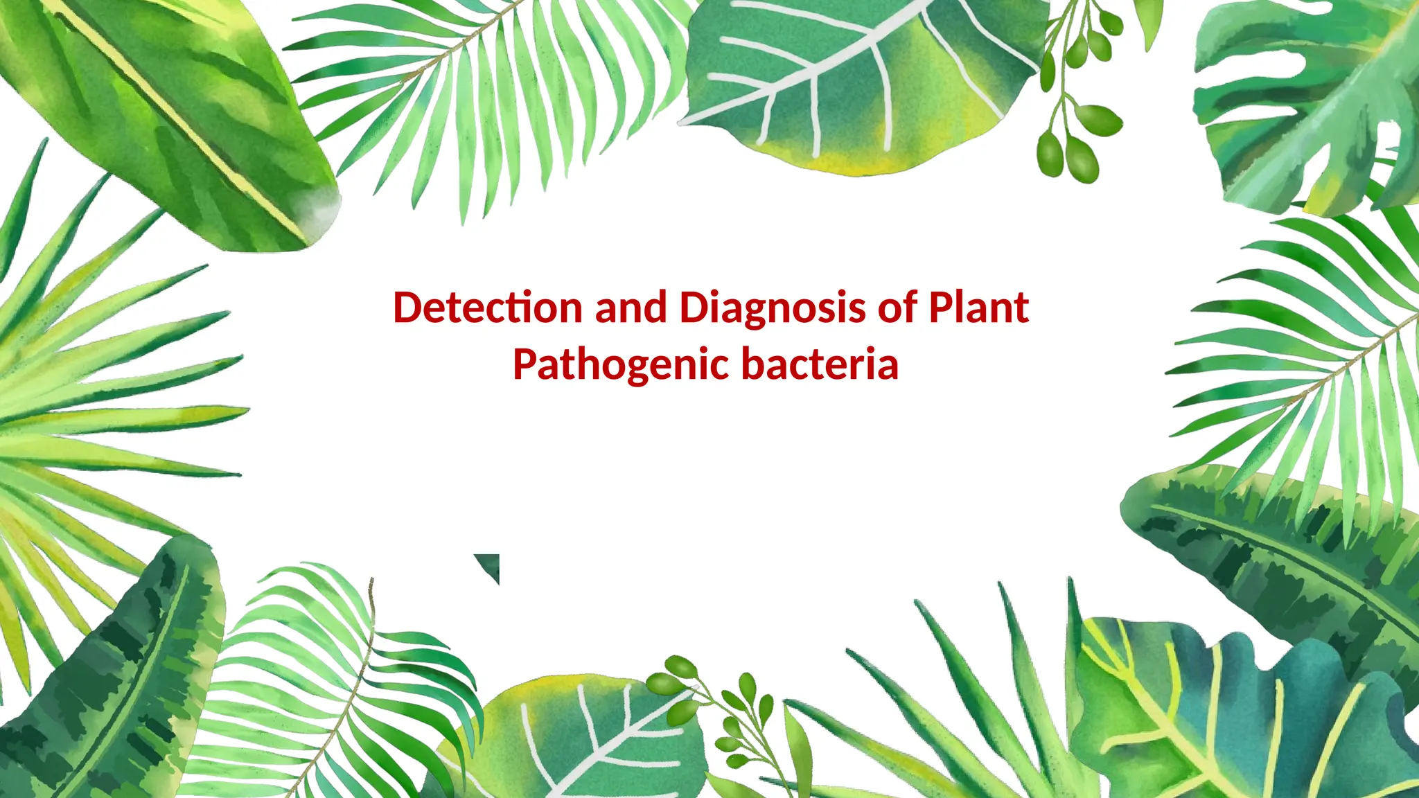 Detection and diagnosis of plant pathogenic bacteria.pptx