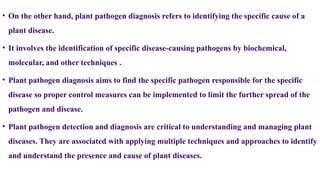 Detection and diagnosis of plant pathogenic bacteria.pptx