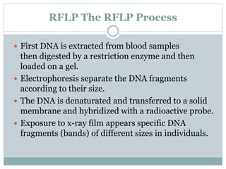 Detection and Measurement of Genetic Variation.pptx