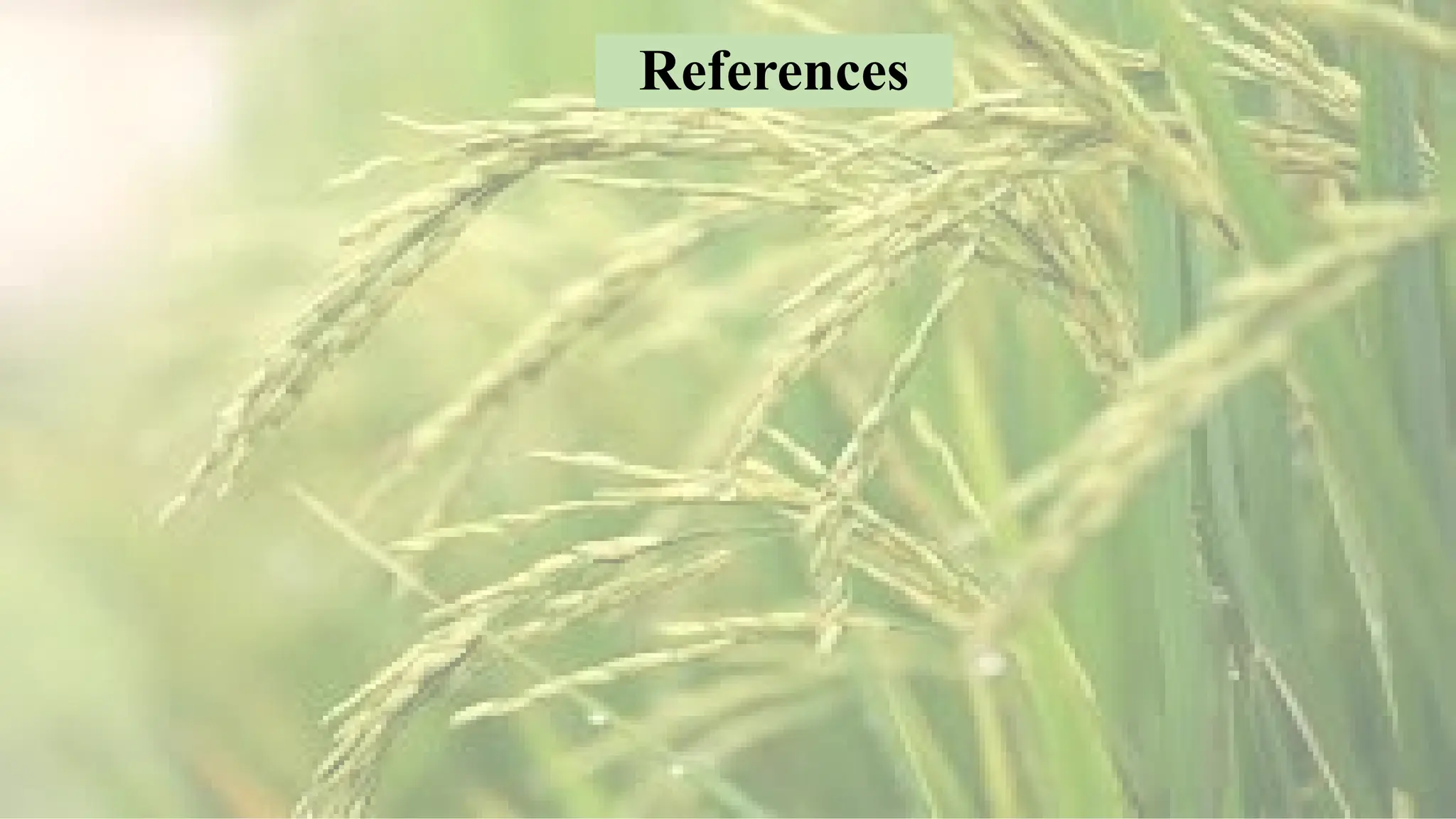 detection and mitigation of heavy metals in rice of fsd region-2.pptx ...