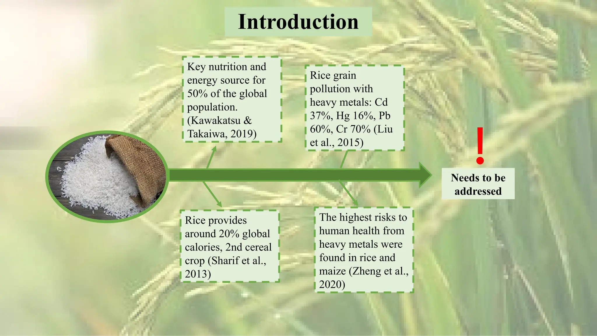 detection and mitigation of heavy metals in rice of fsd region-2.pptx ...