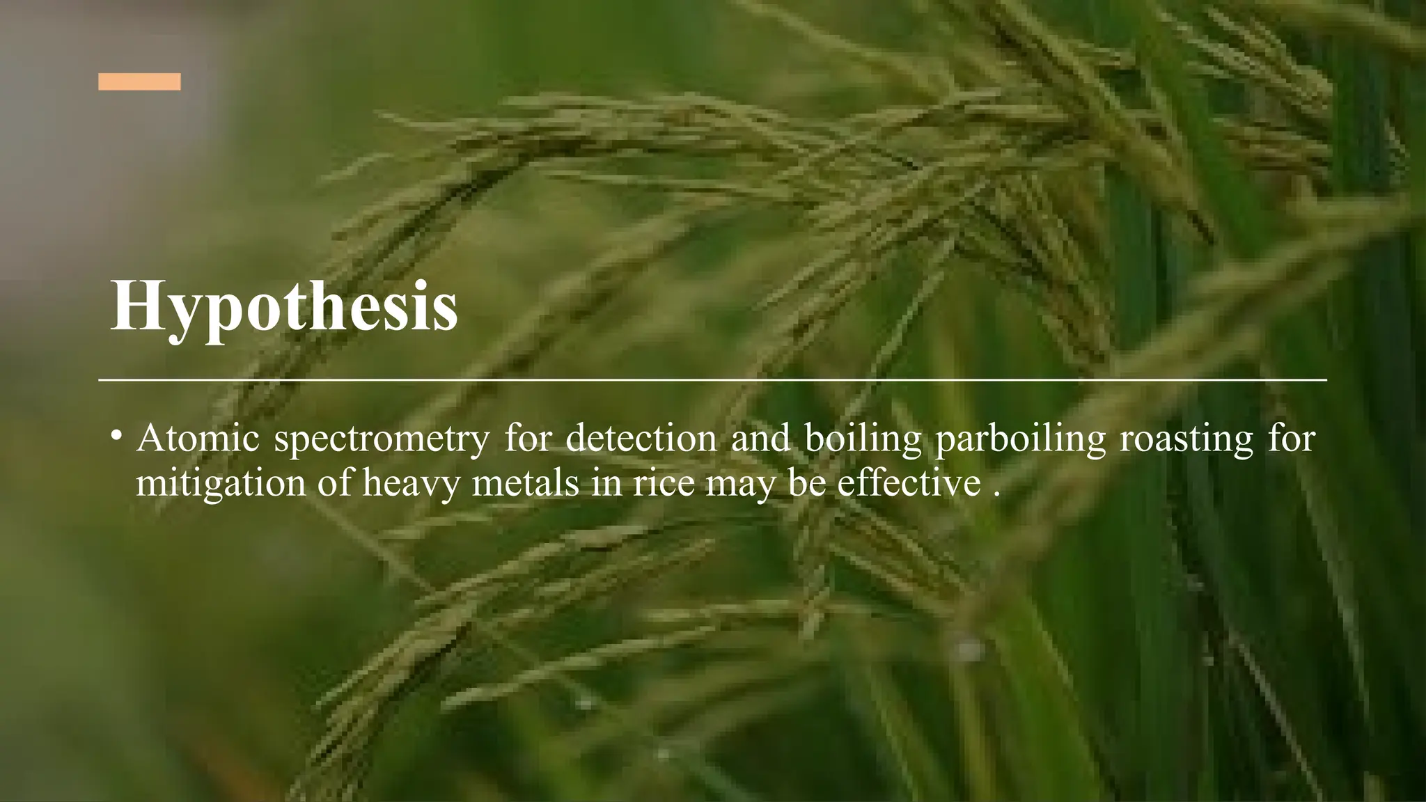 detection and mitigation of heavy metals in rice of fsd region-2.pptx ...