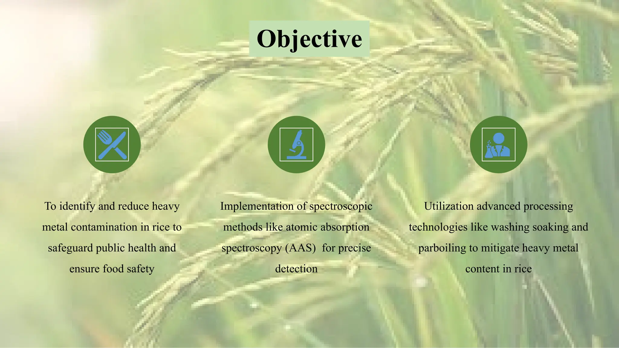 detection and mitigation of heavy metals in rice of fsd region-2.pptx ...
