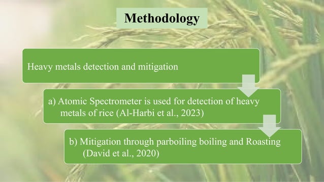 detection and mitigation of heavy metals in rice of fsd region-2.pptx ...