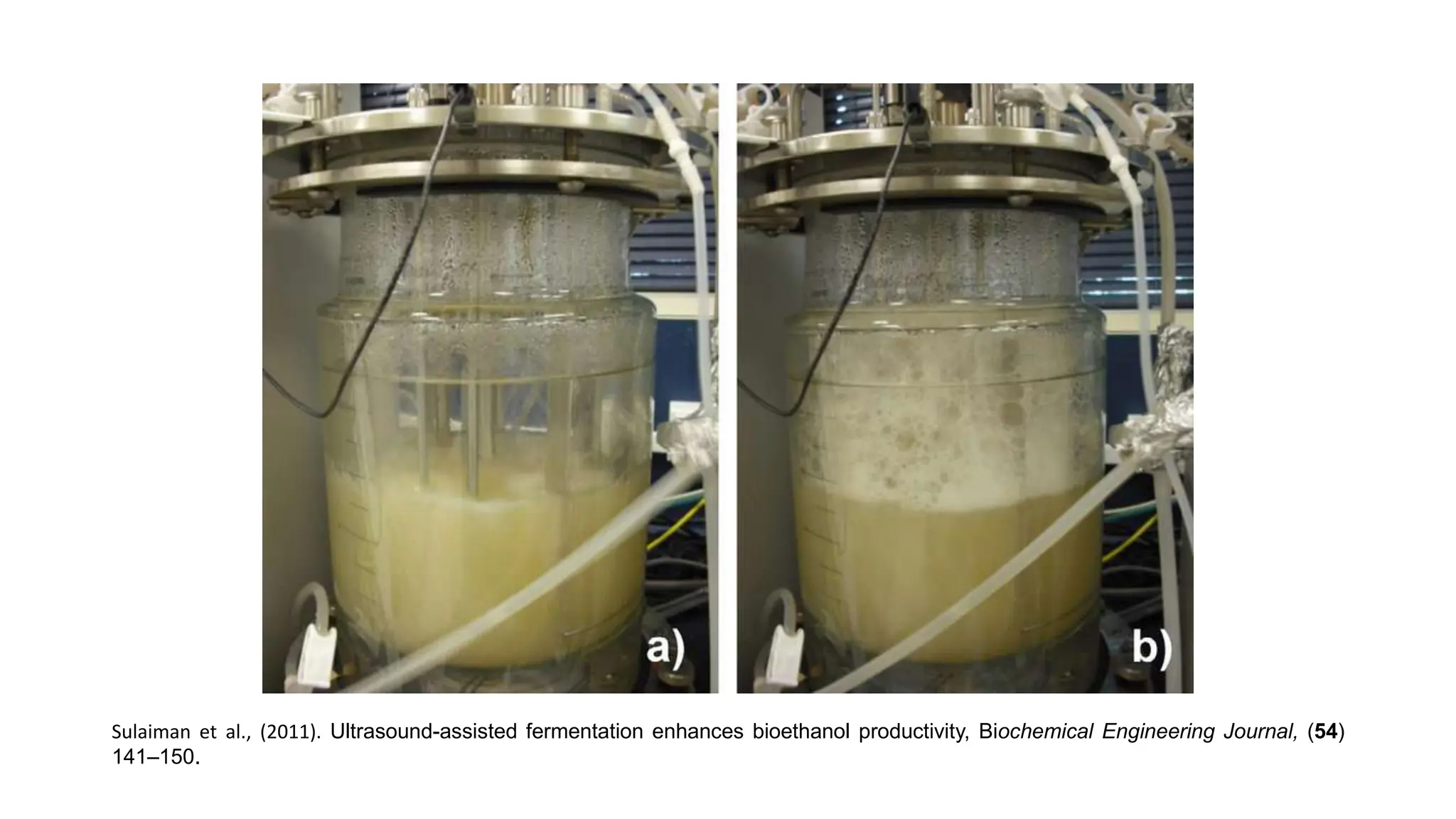 Detection and Prevention Foams- Upstream Process Biotechnology | PPTX