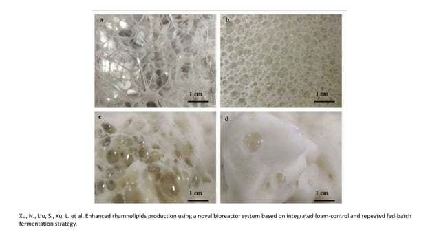 Detection and Prevention Foams- Upstream Process Biotechnology | PPT