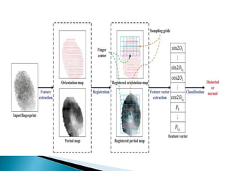 Detection and rectification of distorted fingerprint | PPT