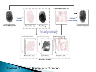 Detection and rectification of distorted fingerprint | PPT
