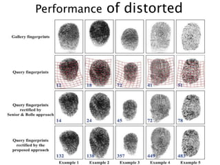 Detection and rectification of distorted fingerprint | PPT