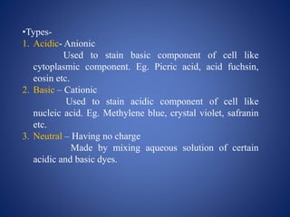 Staining | PPTX | Chemistry | Science