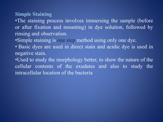 Staining | PPTX | Chemistry | Science