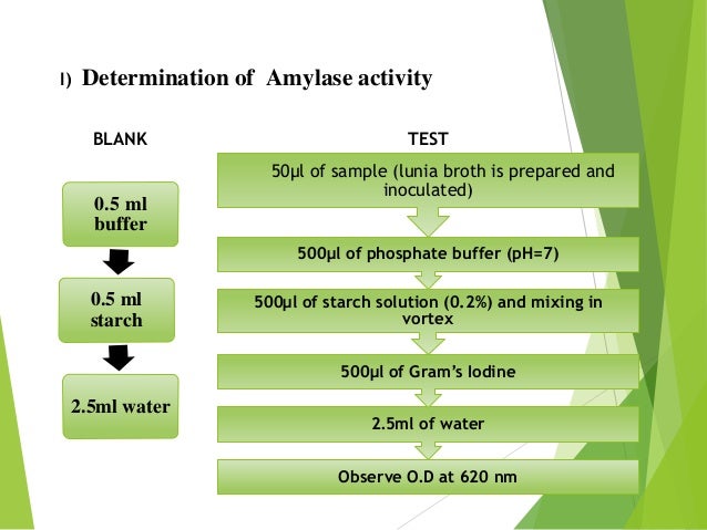 Detection of alpha amylase and protease enzyme