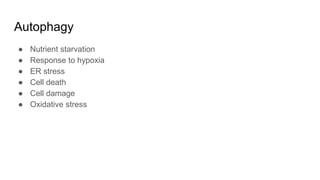 Detection of autophagy | PPTX | Biological Sciences | Science
