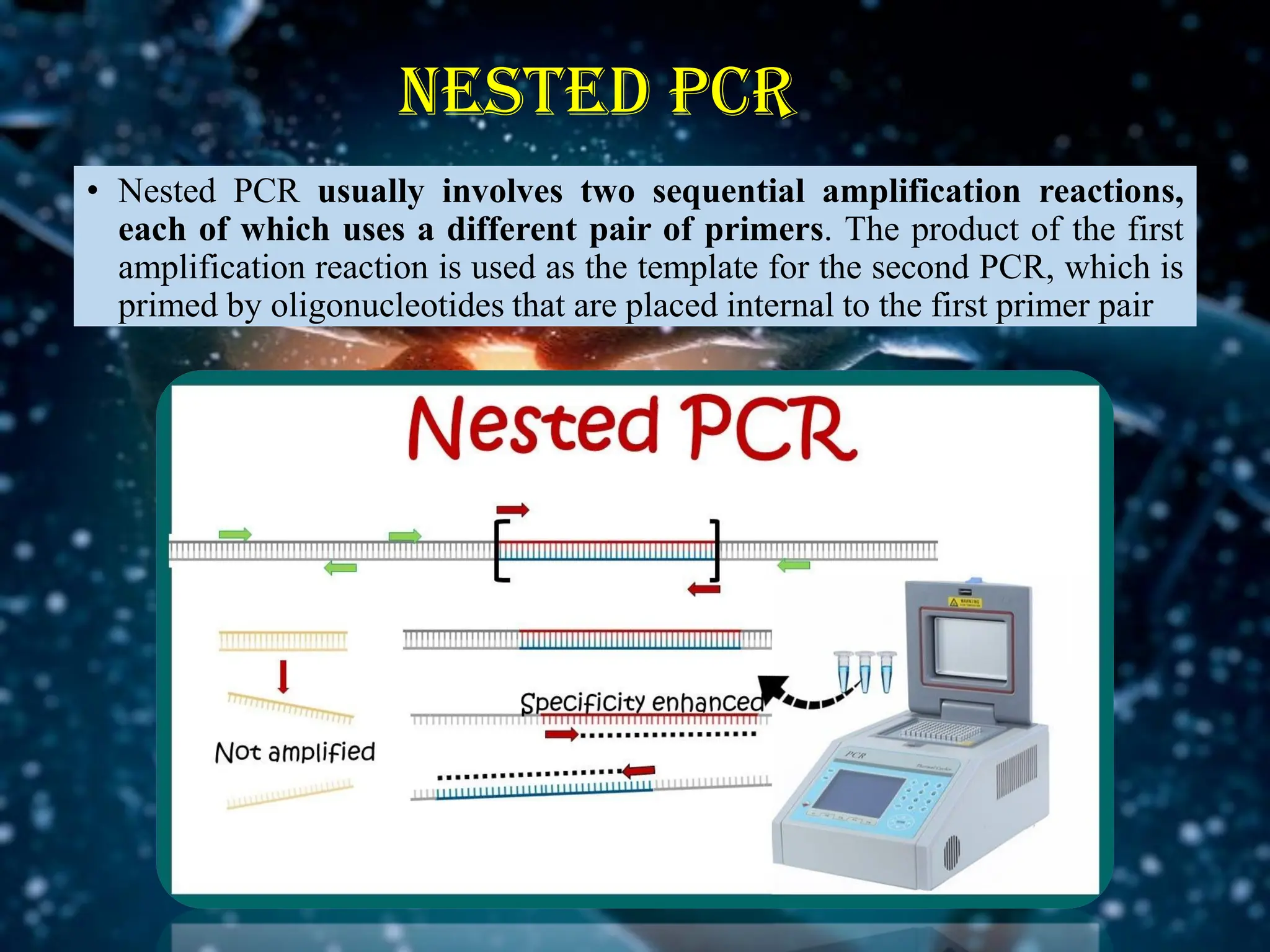 Detection Of Bacterial Plant Pathogens By Serological Methods 2 Pdf
