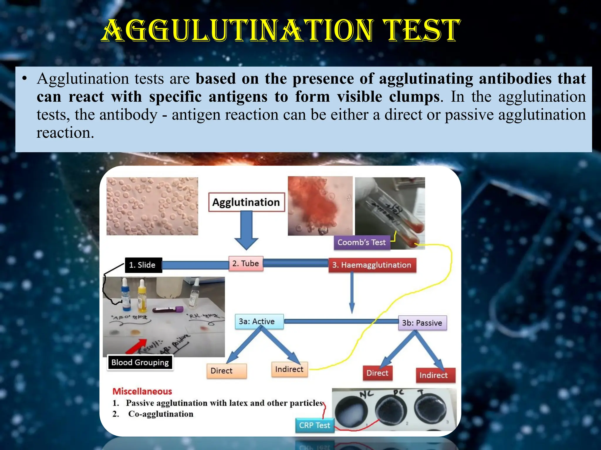 Detection Of Bacterial Plant Pathogens By Serological Methods 2 Pdf