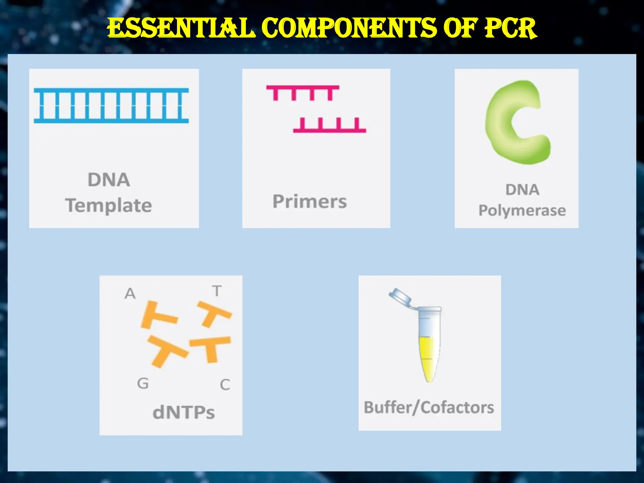 Detection Of Bacterial Plant Pathogens By Serological Methods 2 Pdf