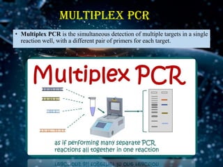 DETECTION OF BACTERIAL PLANT PATHOGENS BY SEROLOGICAL METHODS 2.pdf