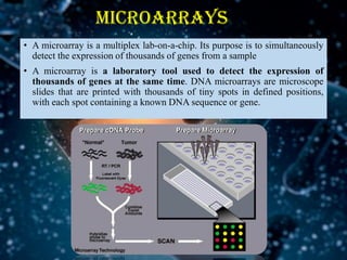 DETECTION OF BACTERIAL PLANT PATHOGENS BY SEROLOGICAL METHODS 2.pdf