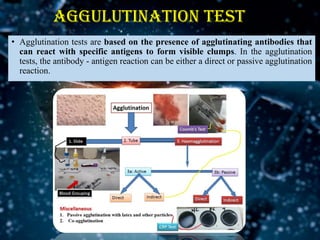 DETECTION OF BACTERIAL PLANT PATHOGENS BY SEROLOGICAL METHODS 2.pdf
