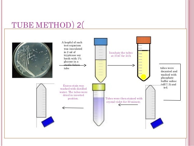 Detection of Biofilm