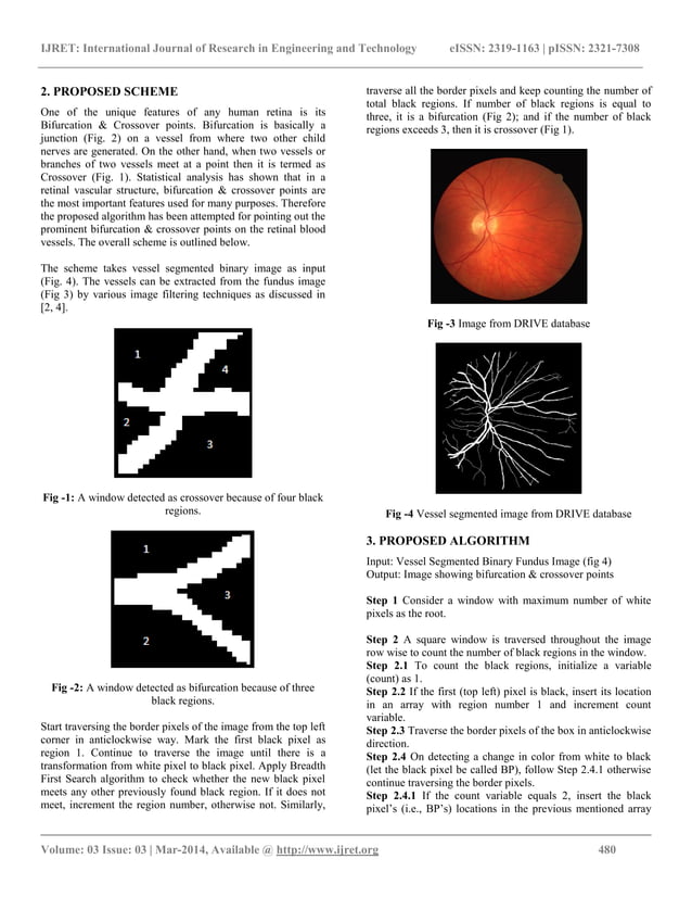 Detection Of Crossover And Bifurcation Points On A Retinal Fundus Image By Analyzing Neighborhood
