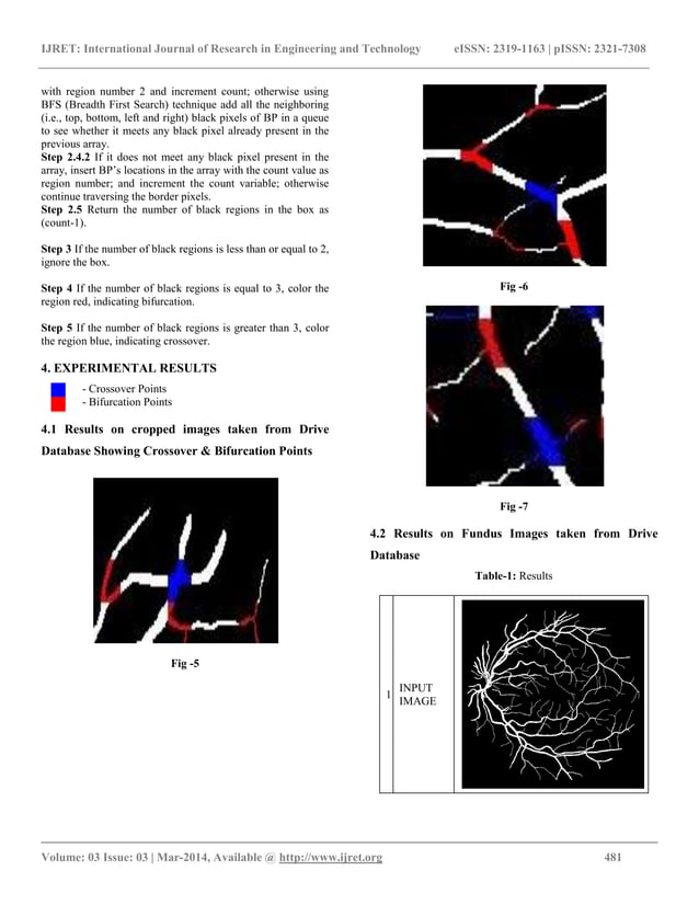 Detection Of Crossover And Bifurcation Points On A Retinal Fundus Image By Analyzing Neighborhood