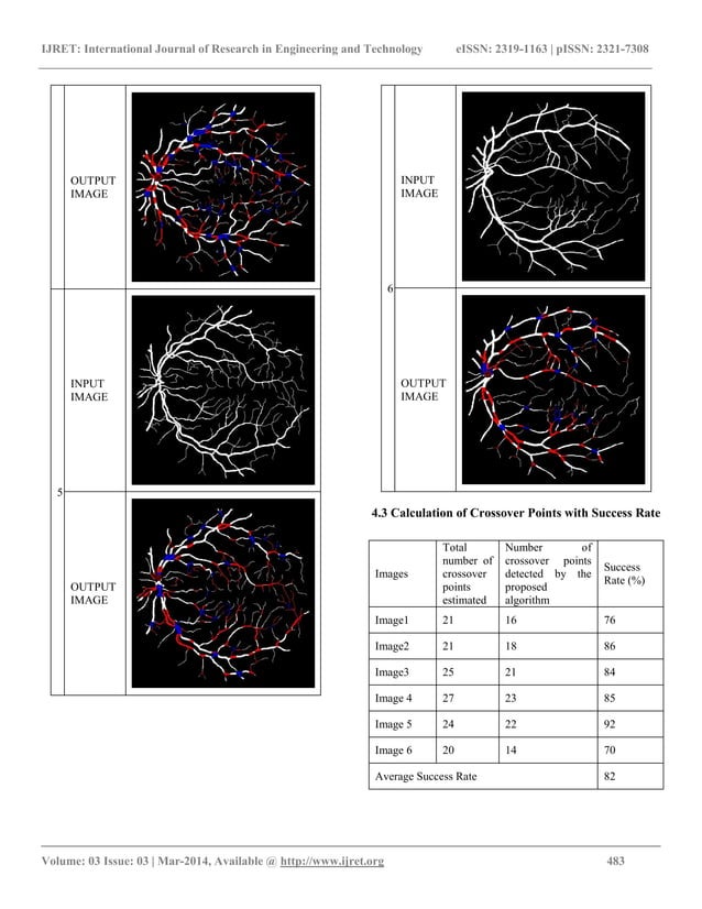 Detection Of Crossover And Bifurcation Points On A Retinal Fundus Image By Analyzing Neighborhood