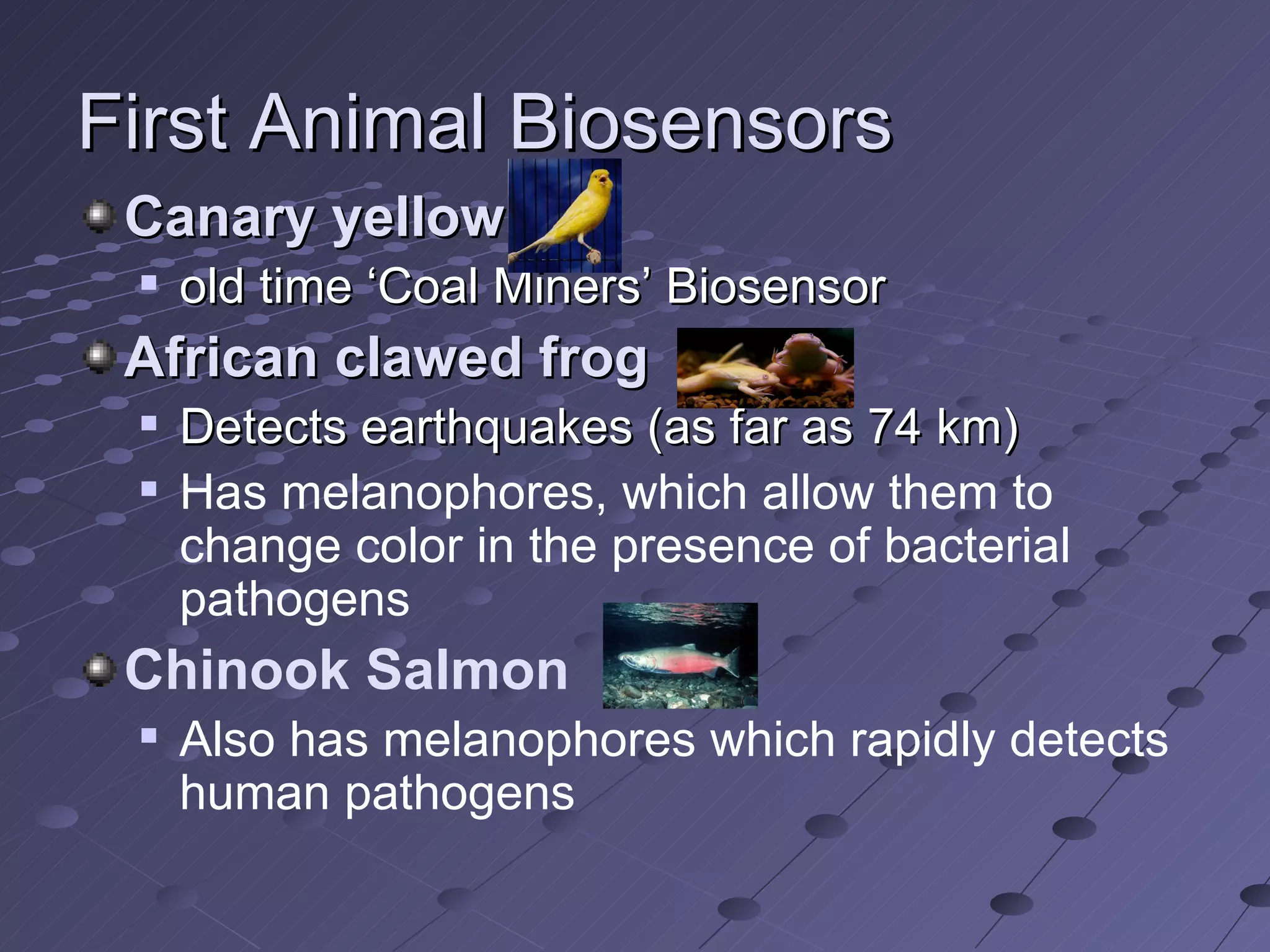 Detection of environmental pollutant using biosensors zen mergal | PPT